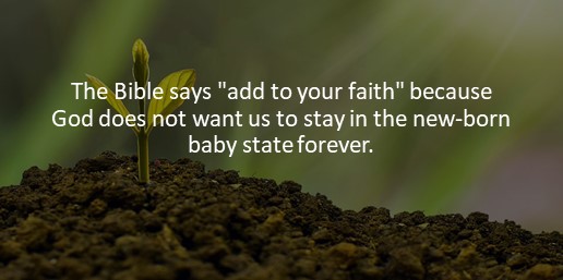 BibleTruths - Grace and wisdom of the ages from 66 books, by 40 authors ...